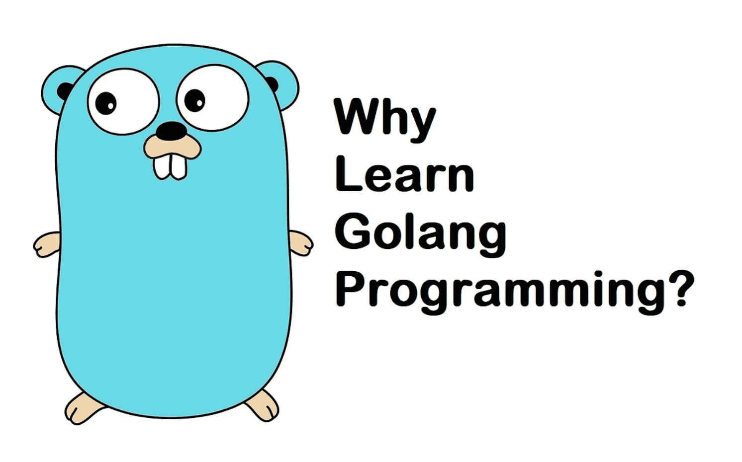 Is Golang Easy To Learn? and Should You Learn Golang in 2025