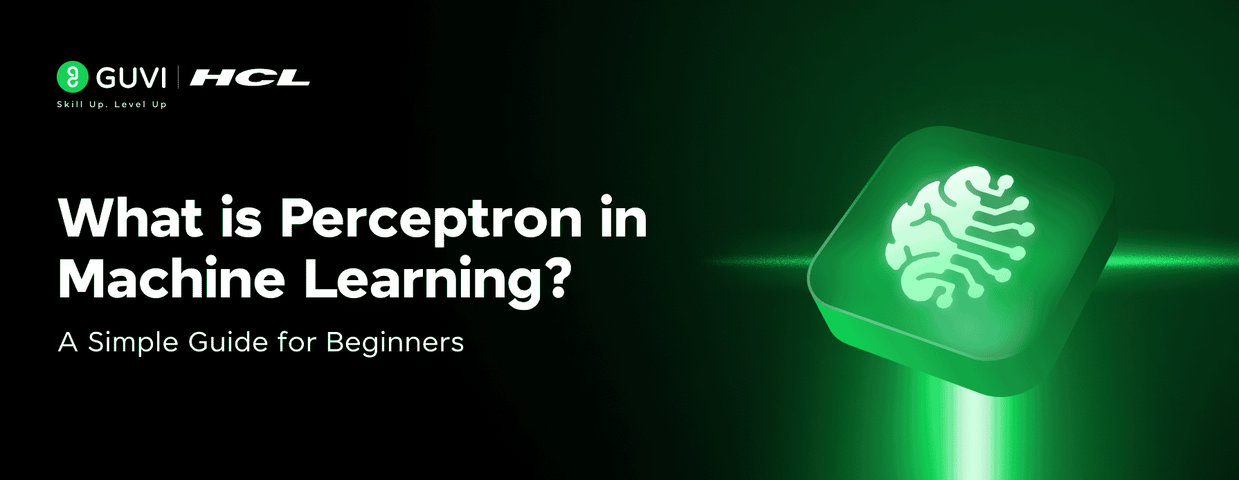 What is Perceptron in Machine Learning? Guide for Beginners