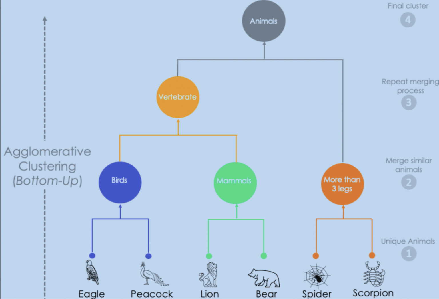 Supervised and Unsupervised Learning: Detailed Explanation