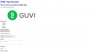 Introduction to HTML Tags: A Complete Guide with Examples