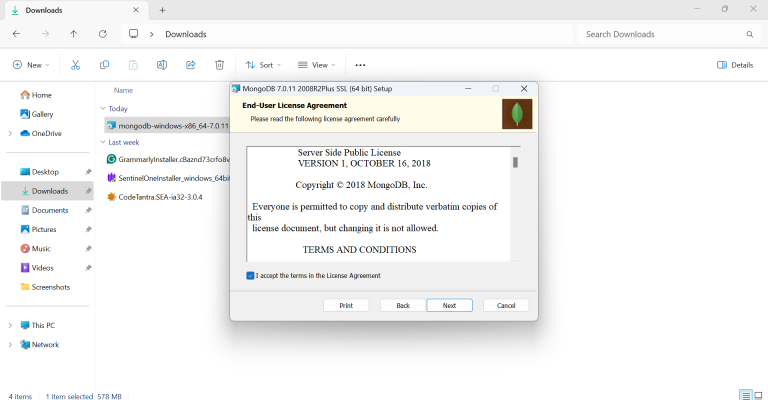 Step By Step Guide Mongodb Install On Windows In 5 Simple Steps