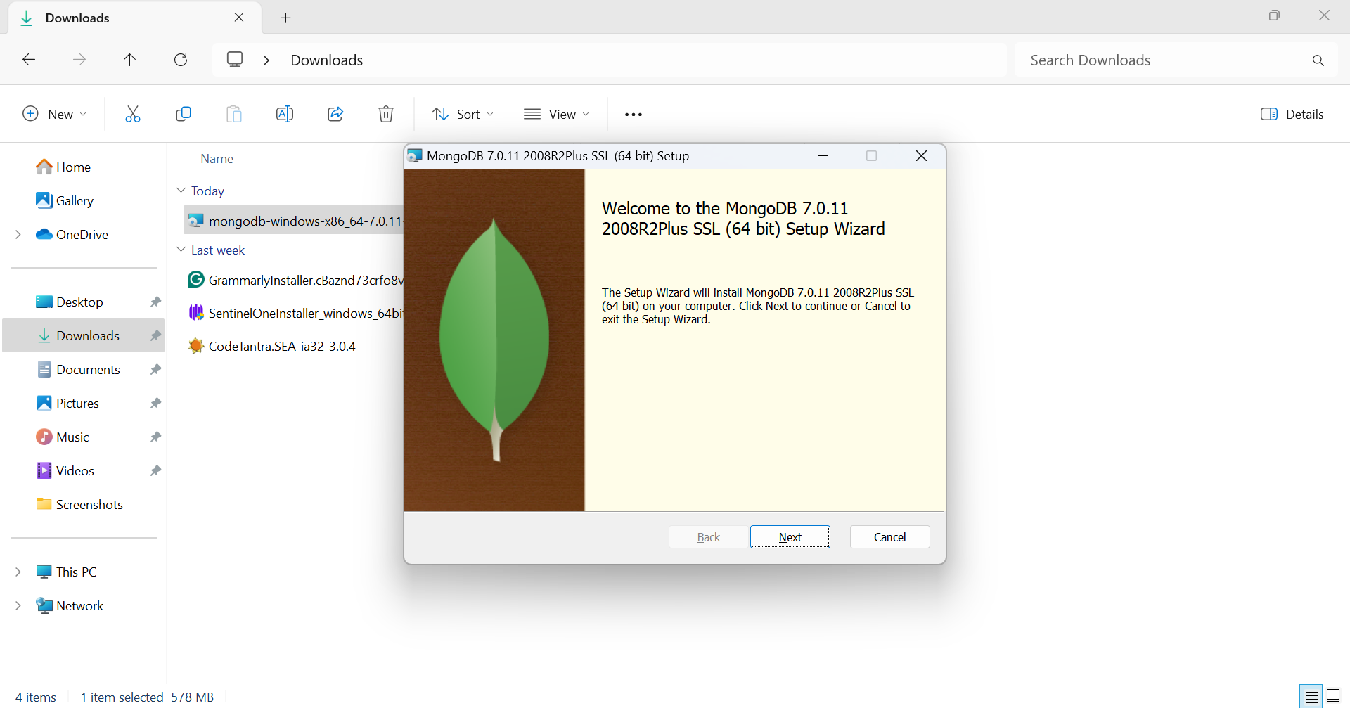 Step-by-Step Guide: MongoDB Install on Windows in 5 Simple Steps