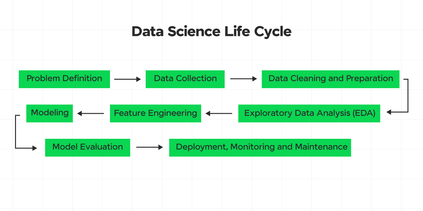 What is the Data Science Life Cycle?