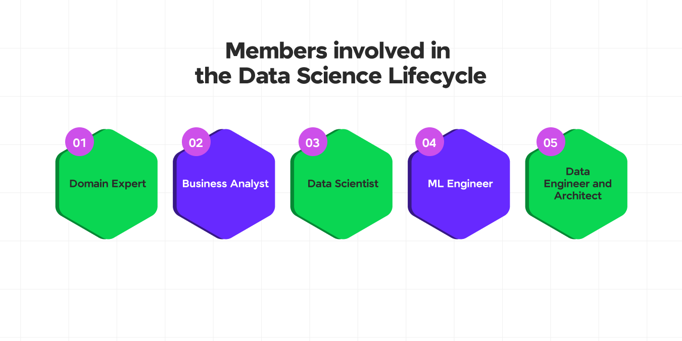 What is the Data Science Life Cycle?