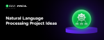 Top 12 Interesting Natural Language Processing Project Ideas