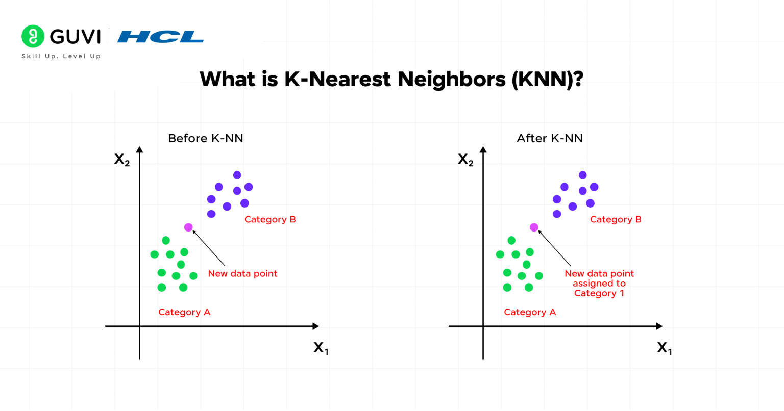 Understanding the KNN Algorithm in Machine Learning
