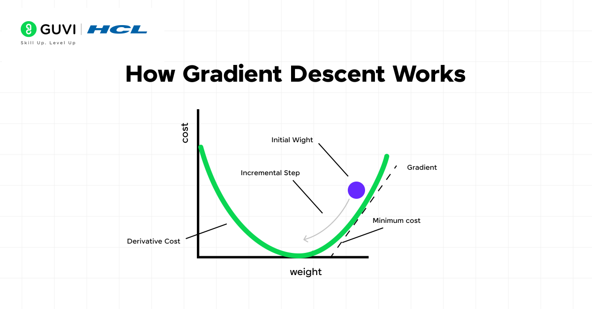 What is Gradient Descent in Machine Learning?