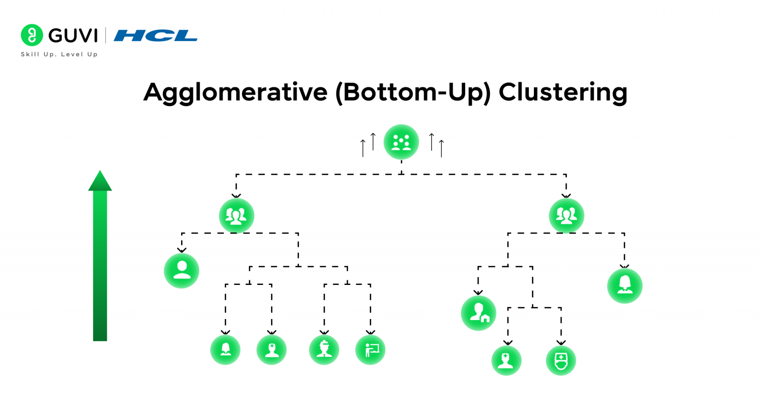 Introduction to Hierarchical Clustering: A Simple Guide
