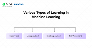 Types of Learning in Machine Learning | Beginner’s Guide