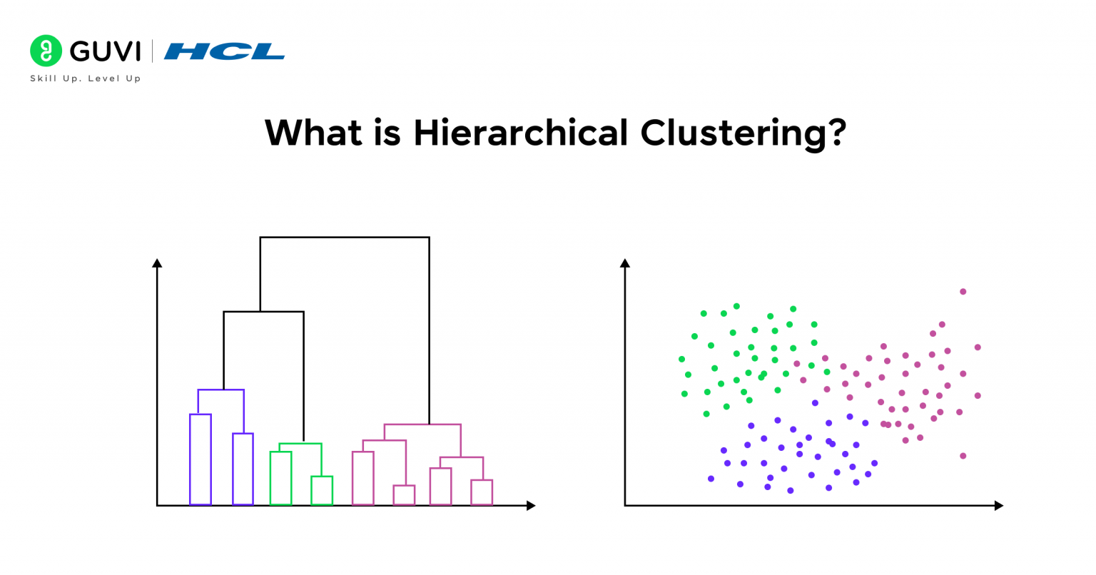 Introduction to Hierarchical Clustering: A Simple Guide