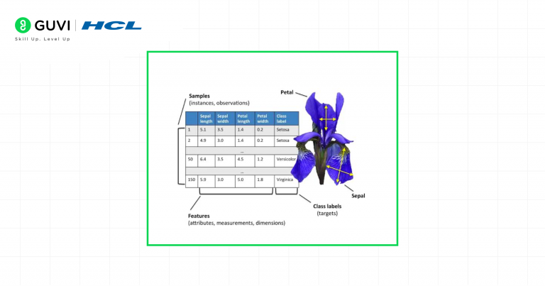 IRIS Dataset Explained: Features, Classification & Examples