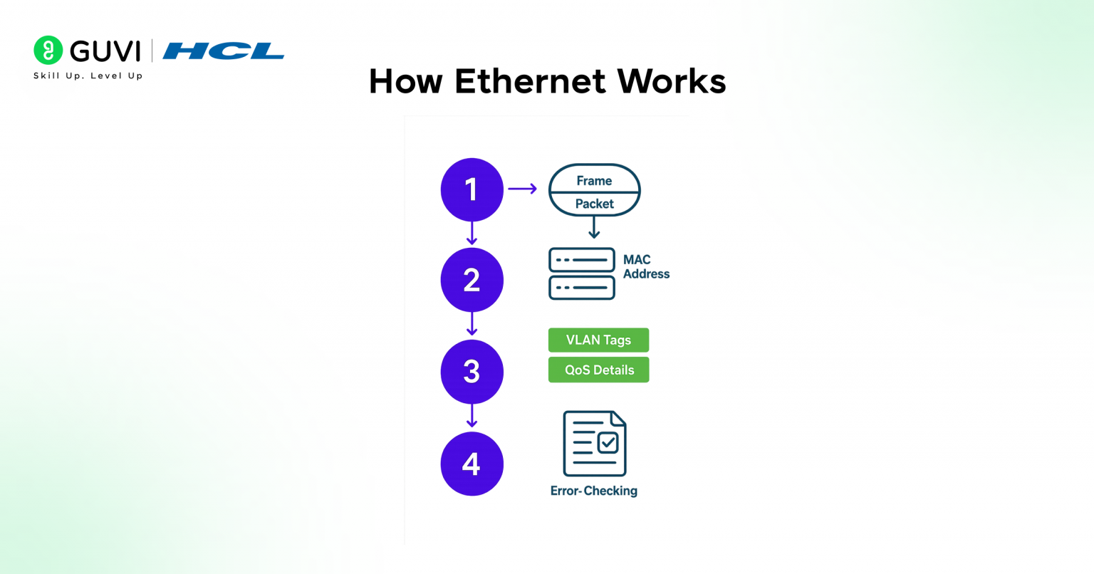 What Is Ethernet in Computer Network?