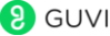 GUVI | Internship